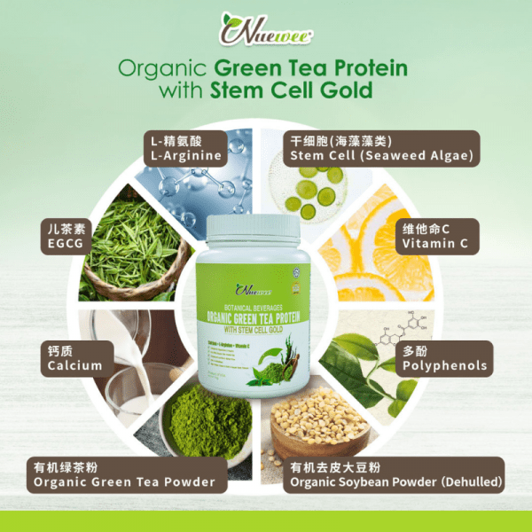 Soy Protein | Diet | Skin Aging | Inflammation | Green Tea Protein
